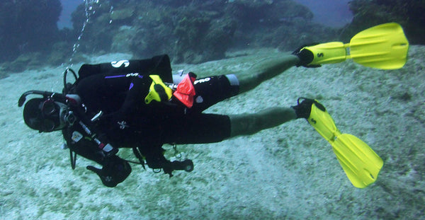 Captain's Chronicles April 2020 - Scuba Marco