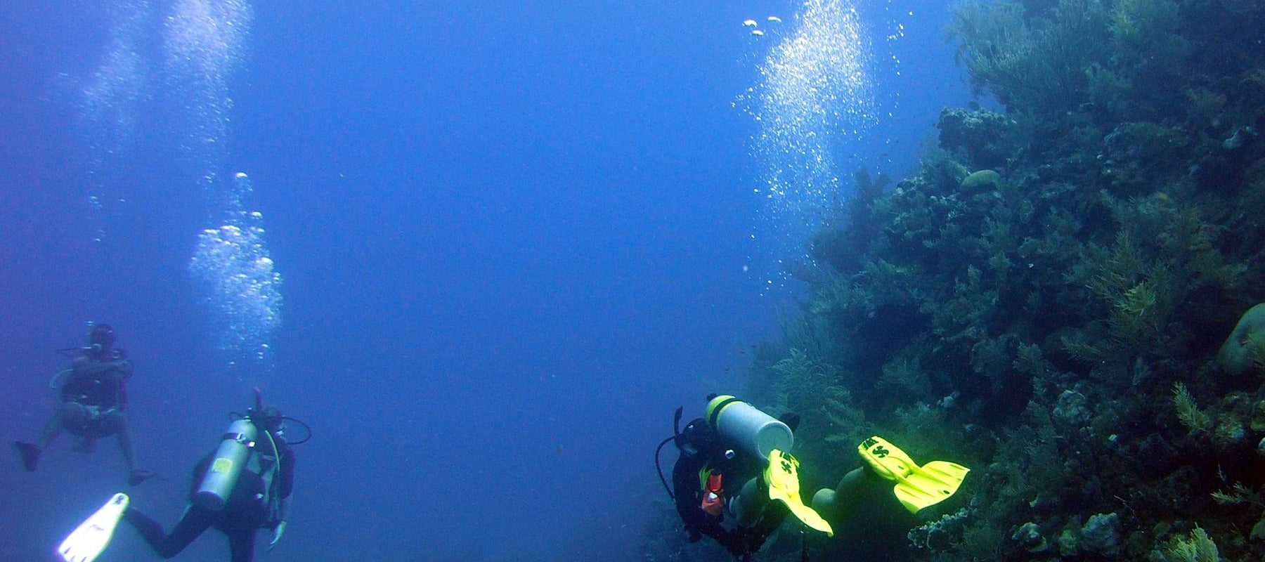 Scuba Marco | Full Service Dive Shop | Marco Island, FL