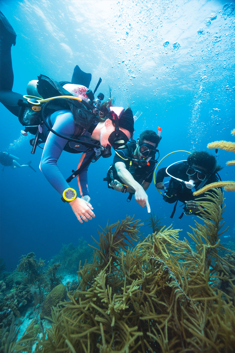Scuba Marco | Full Service Dive Shop | Marco Island, FL