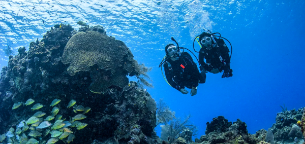 Scuba Marco | Full Service Dive Shop | Marco Island, FL