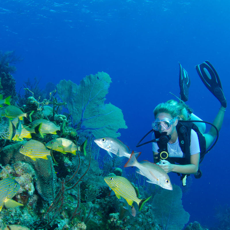 Scuba Marco | Full Service Dive Shop | Marco Island, FL